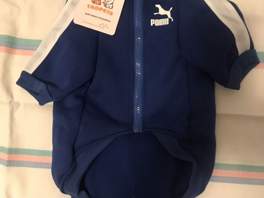 Рубашка для собачки