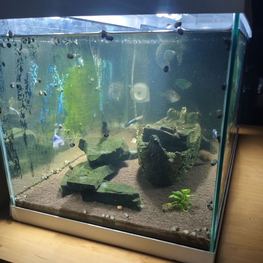 Аквариум Акваэль 55 литров