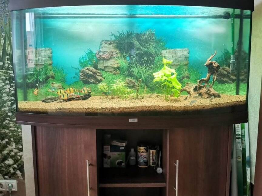 Панорамный аквариум Juwel 240