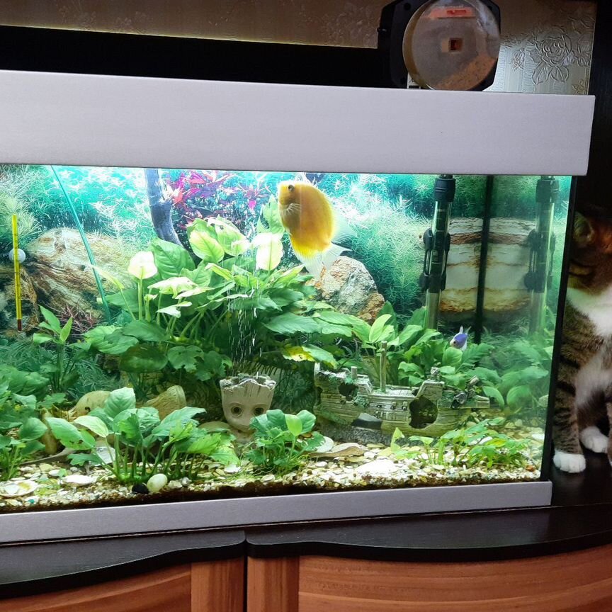 Аквариум 80л Biodesign