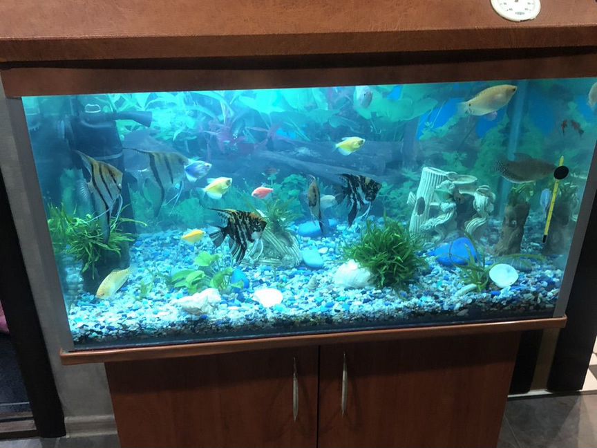 Аквариум с тумбой бу