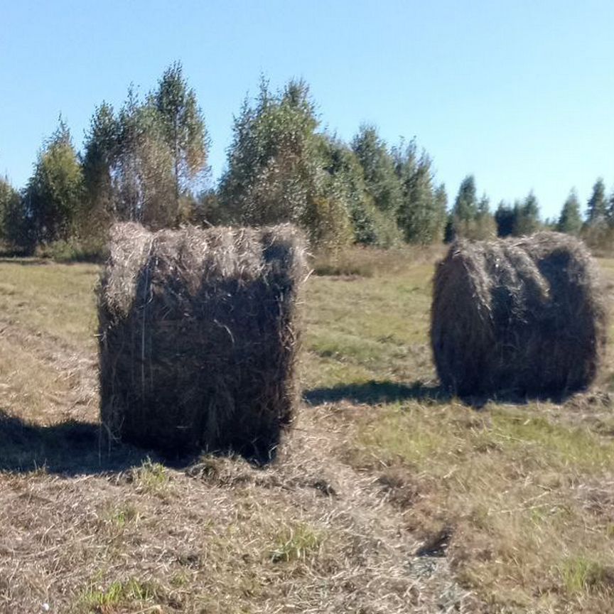 Сено рулоны