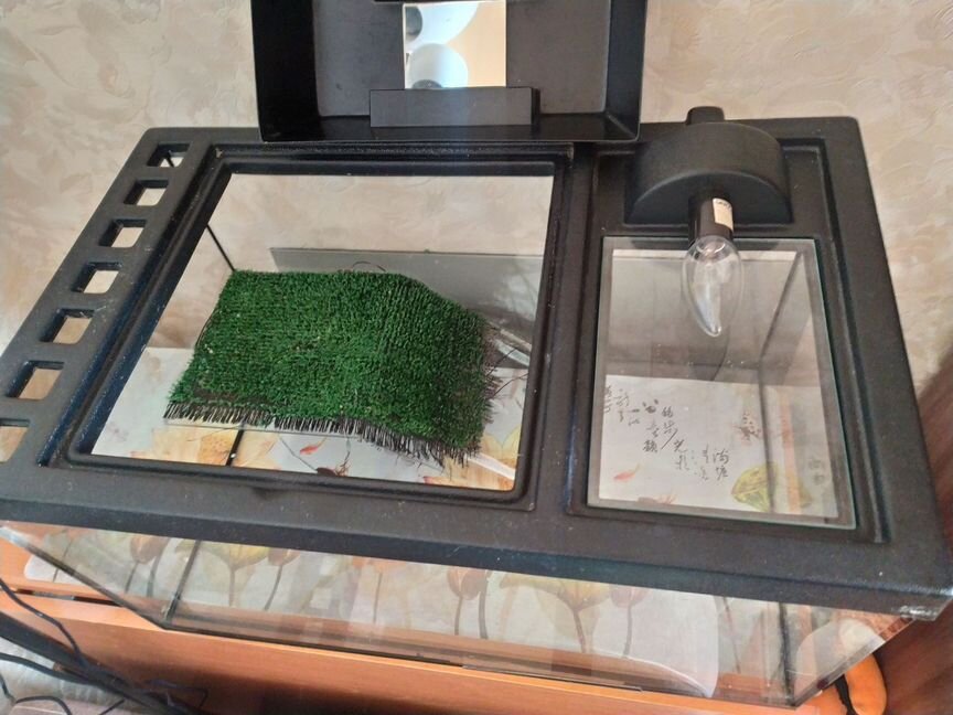 Аквариум для морской черепахи