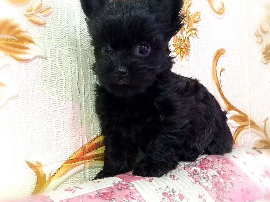 Черные micro йорочки