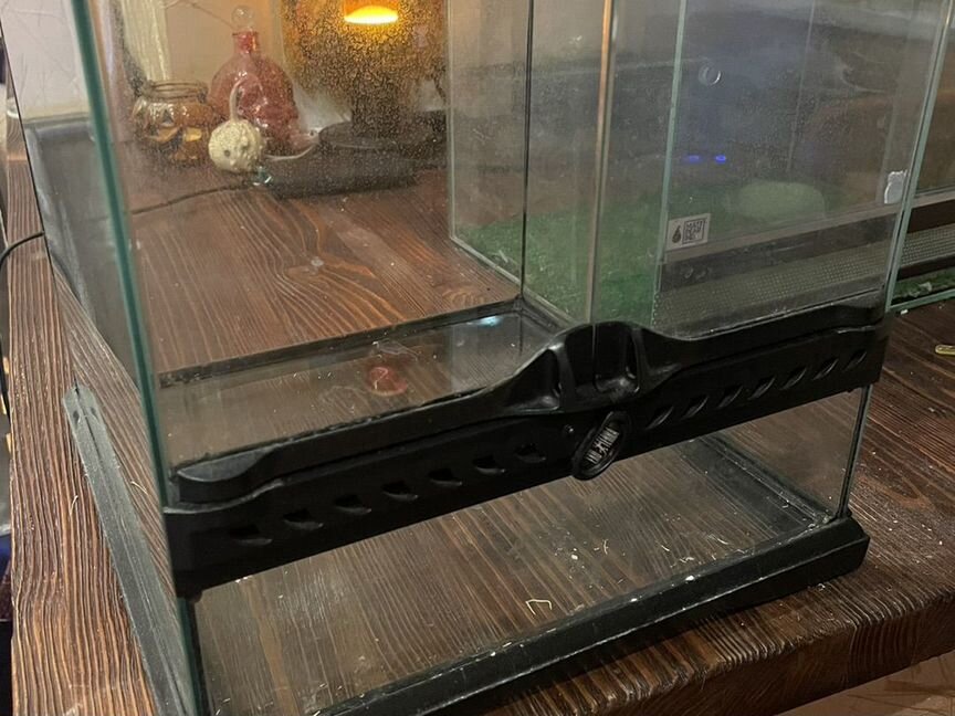 Террариум для рептилий и контейнеры