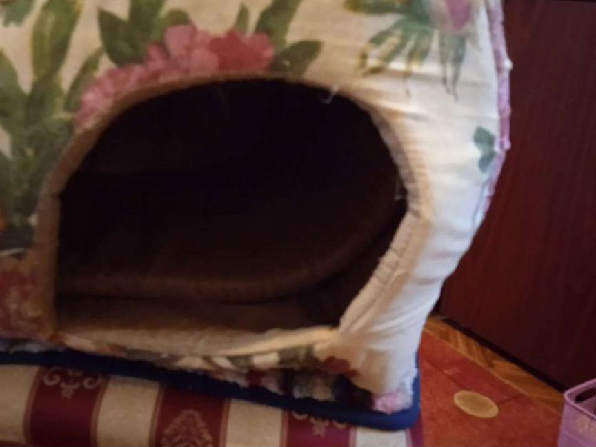 Дом для кота