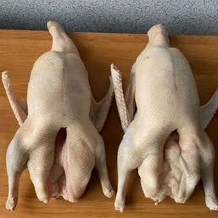 Гусиное мясо домашнее