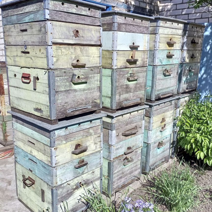 Ульи дадан 16 рамочные