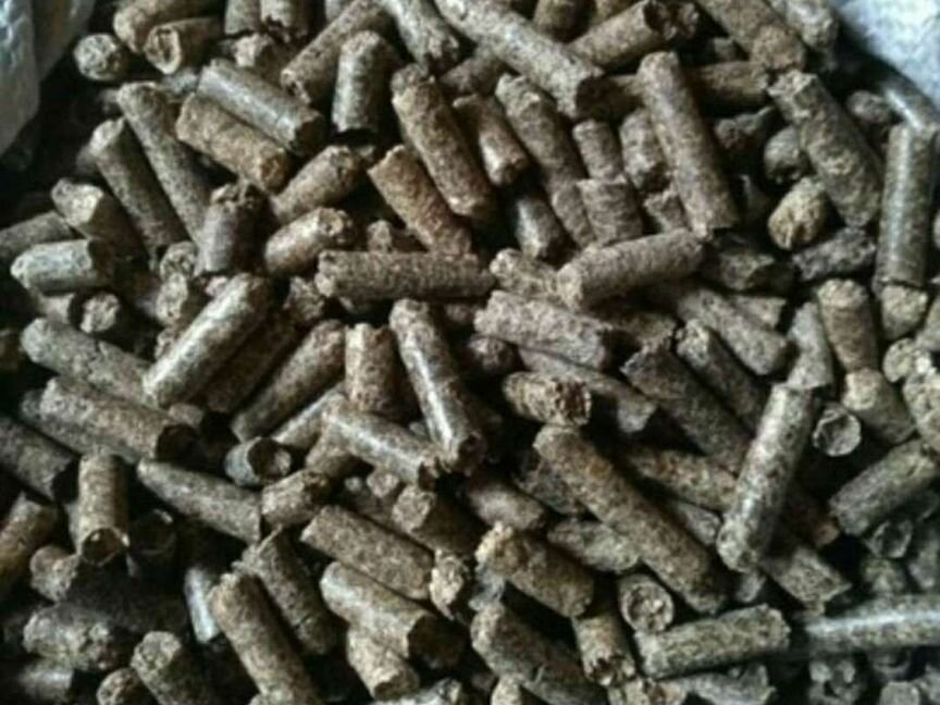 Жом свекловичный