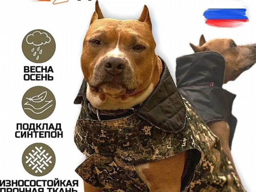 Попона для собак