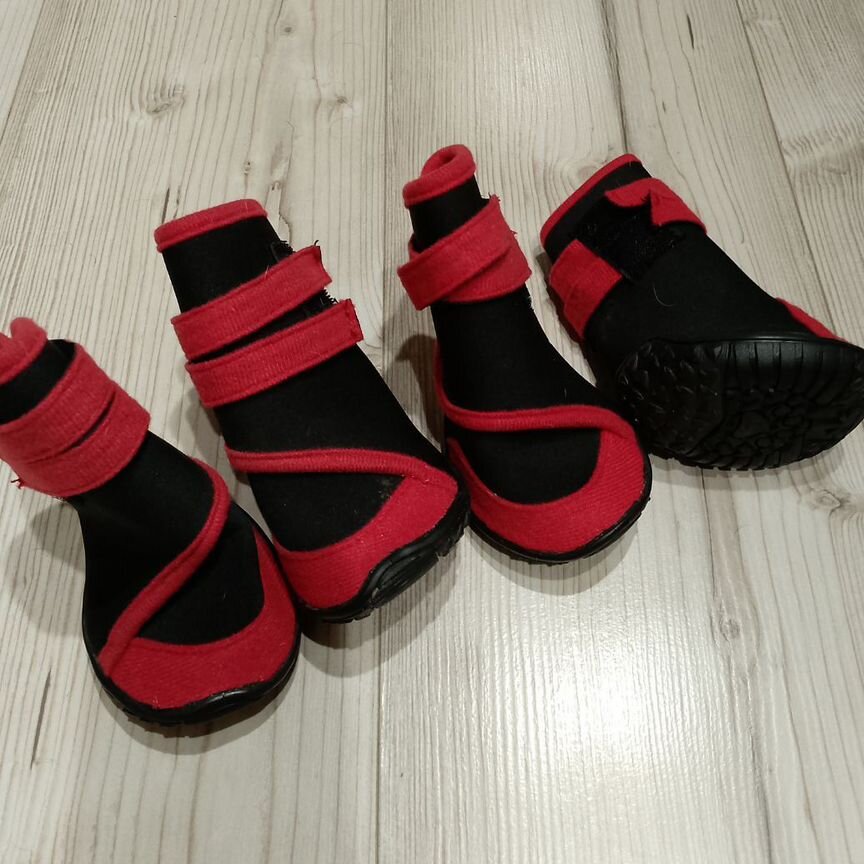 Обувь для собак