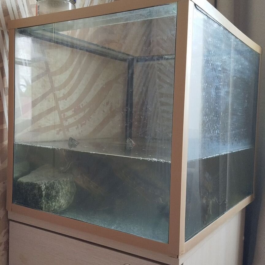 Аквариум 80 л с черепахами