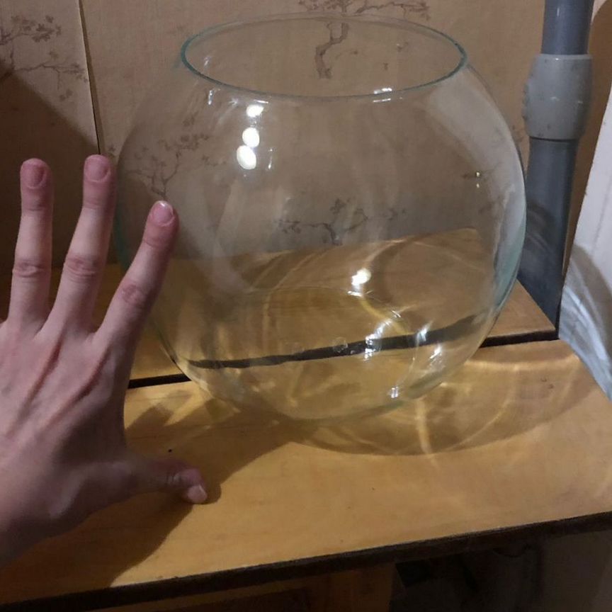 Аквариум, ваза