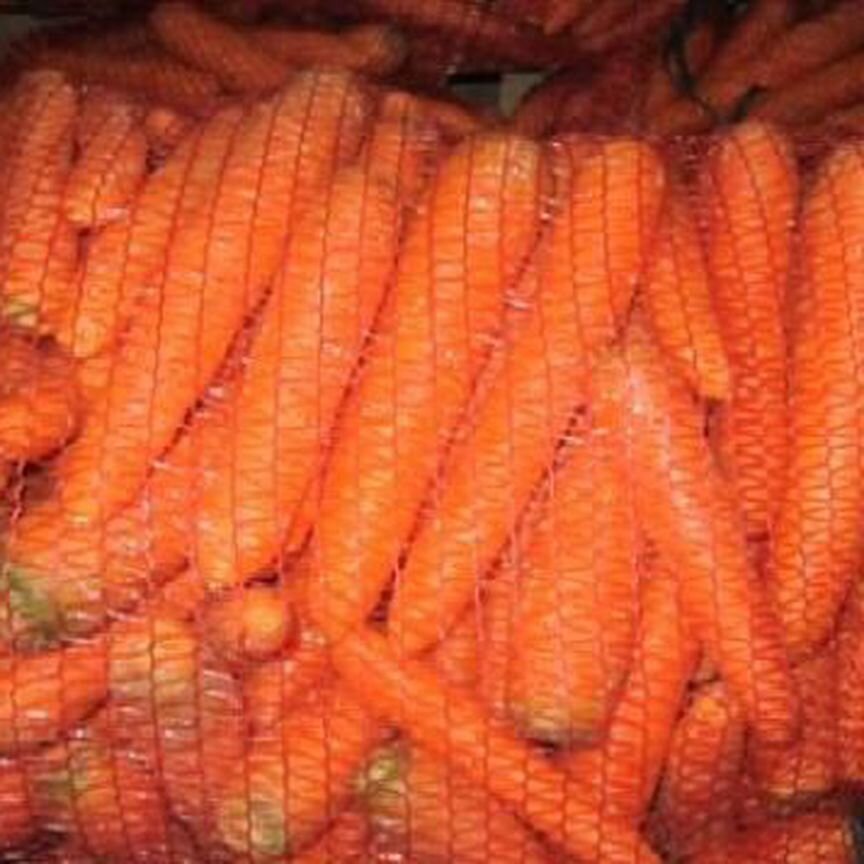 Морковь для животных оптом