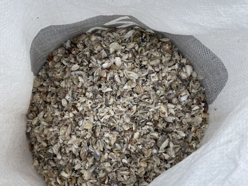Кормовая ракушка для птицы