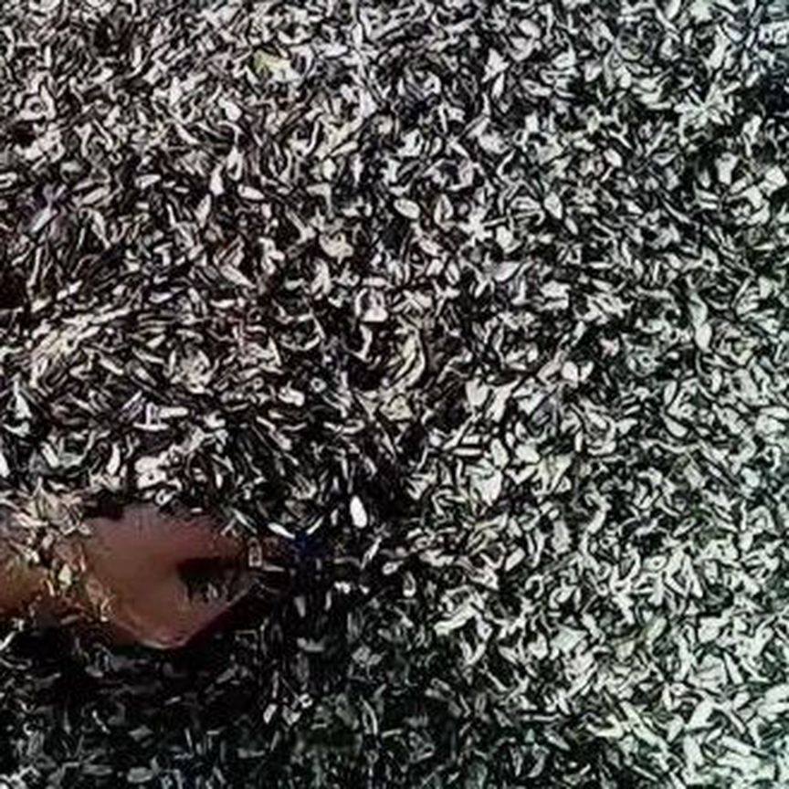 Шелуха подсолнечника