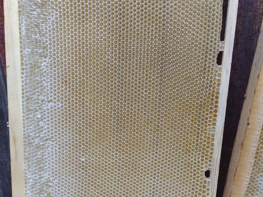 Рамки с вощиной