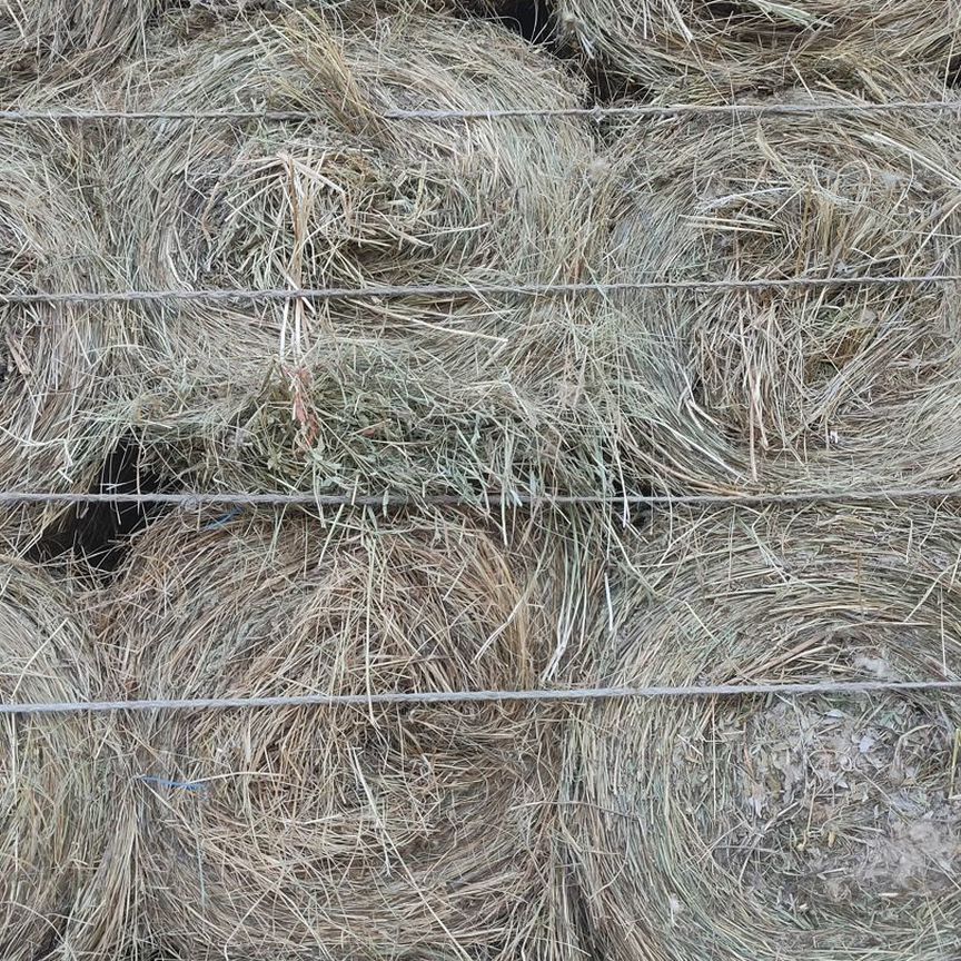 Сено в рулончиках