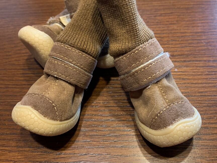 Обувь для маленьких собак