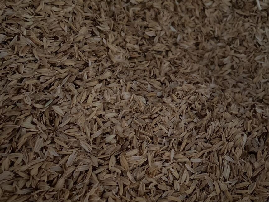 Рисовая шелуха