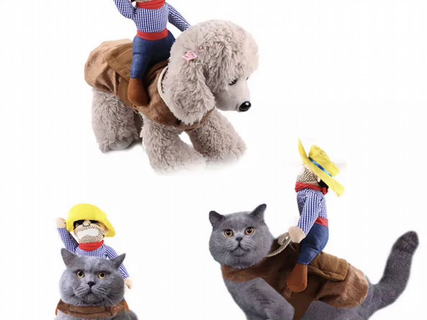 Костюм для кота
