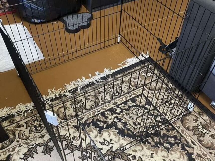 Продаю вольер(клетка) для собак