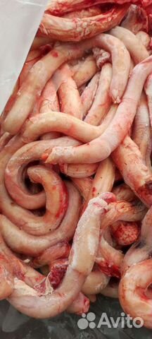 Бычий пенис