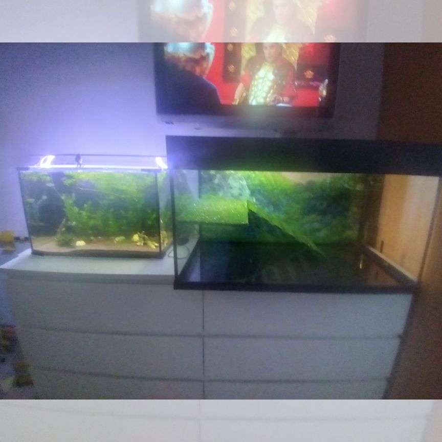 Аквариум,акватеррариум на 150л