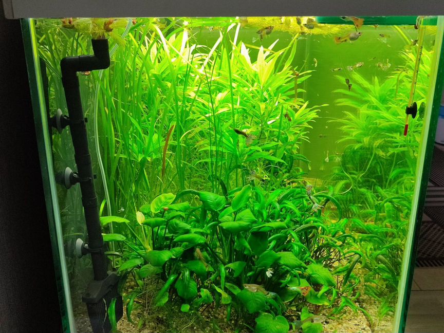 Украшение для аквариума