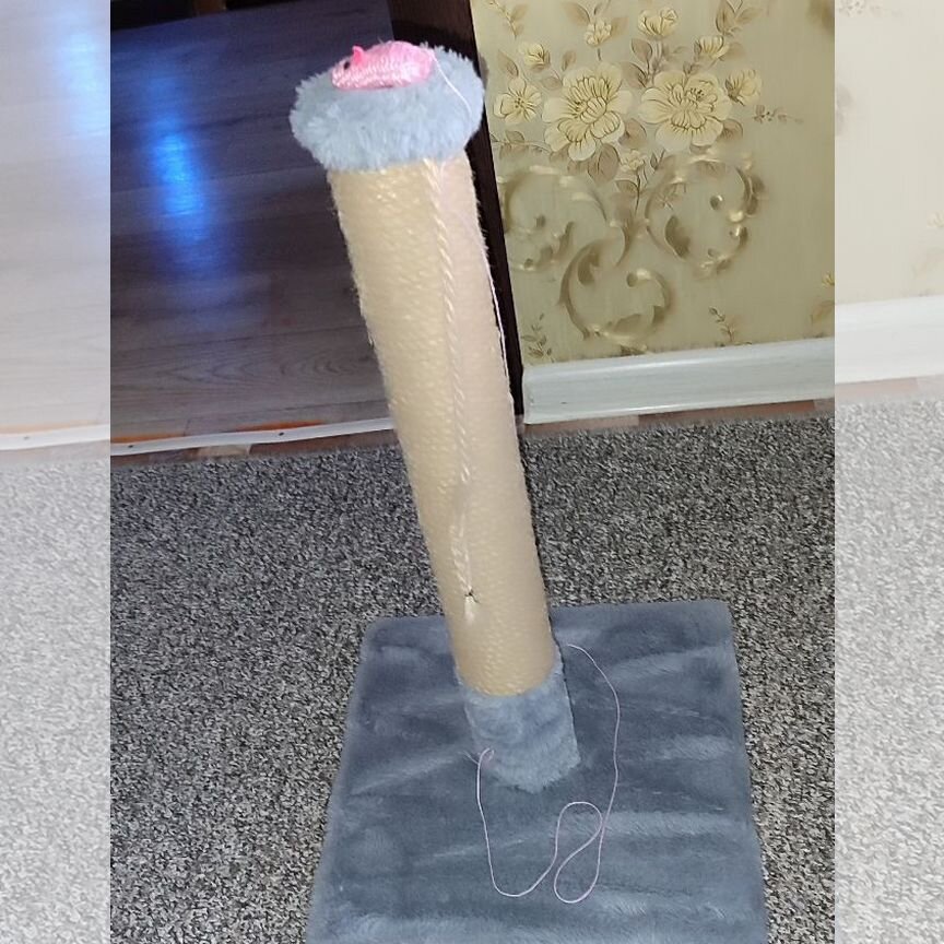 Когтеточка, лоток и корм для кошки