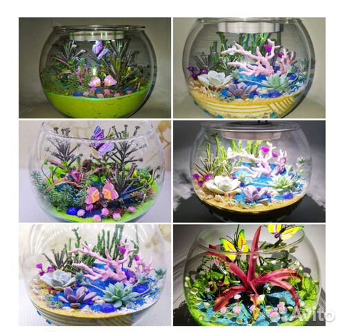 Аквариум круглый с воздухом