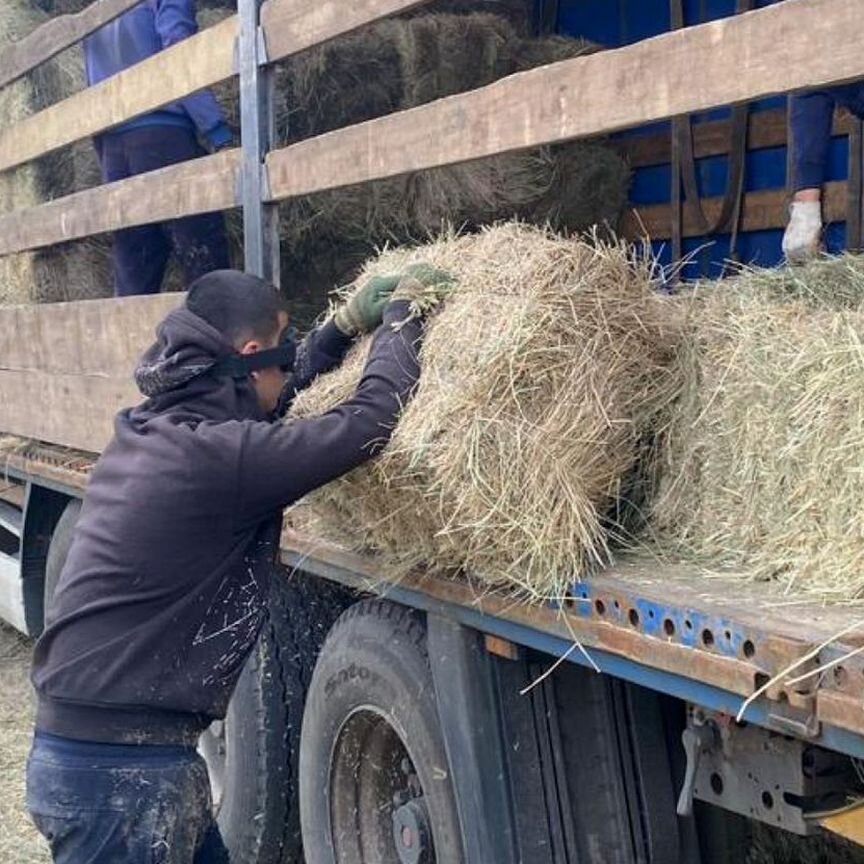 Сено с доставкой