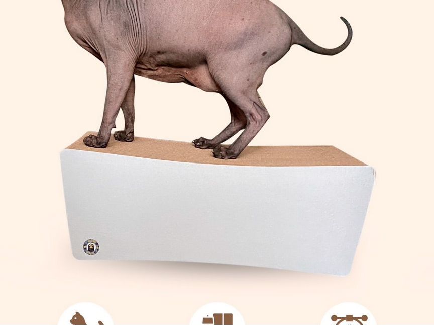 Когтеточка из картона