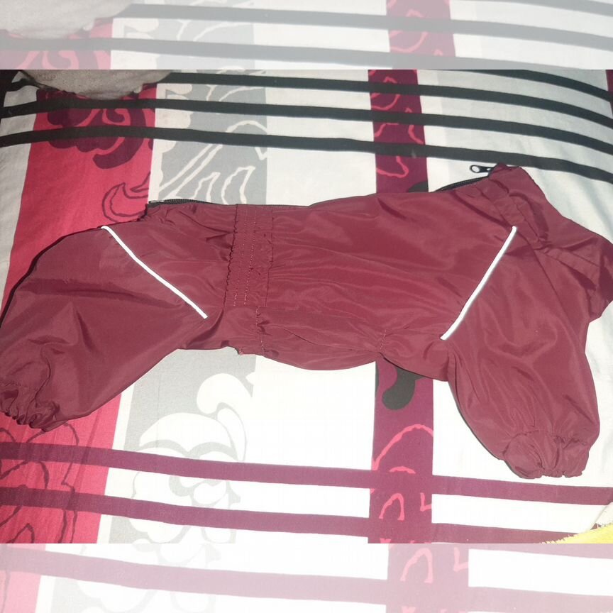 Одежда для маленьких собак