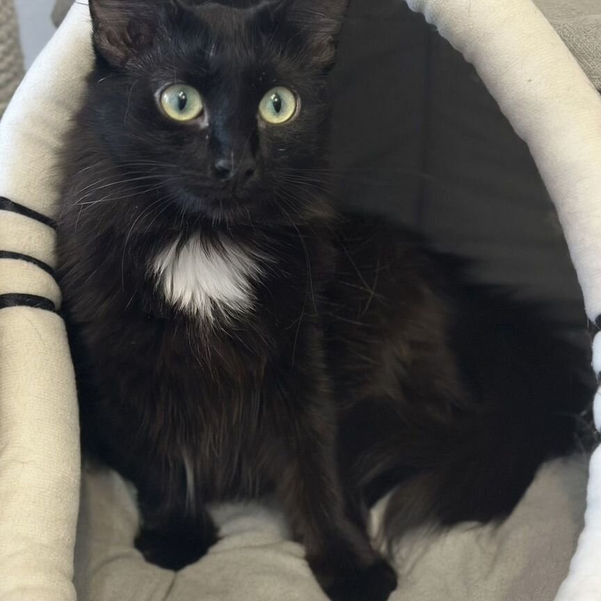 Нина в самые заботливые руки