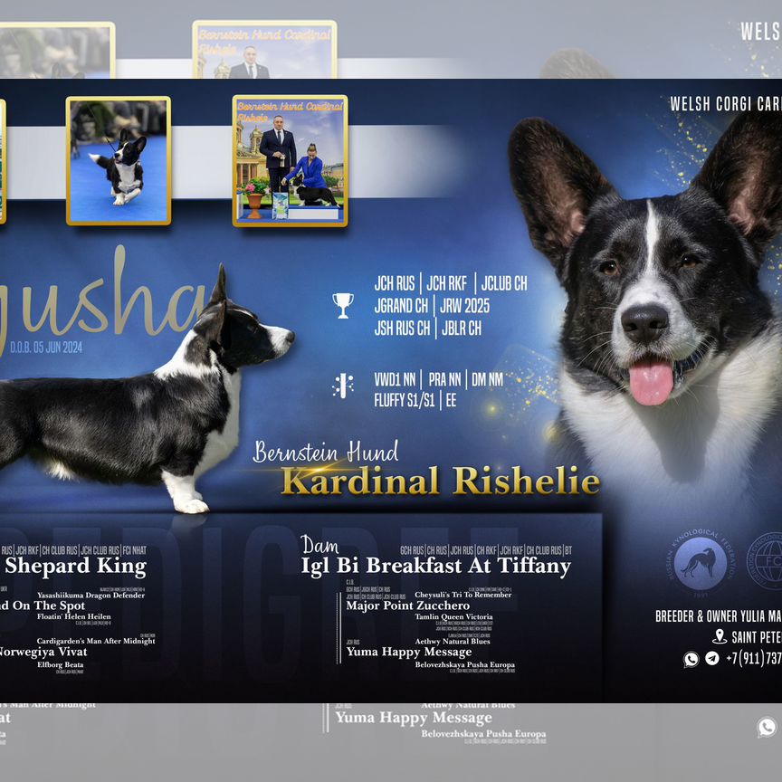 Вельш-корги кардиган вязка