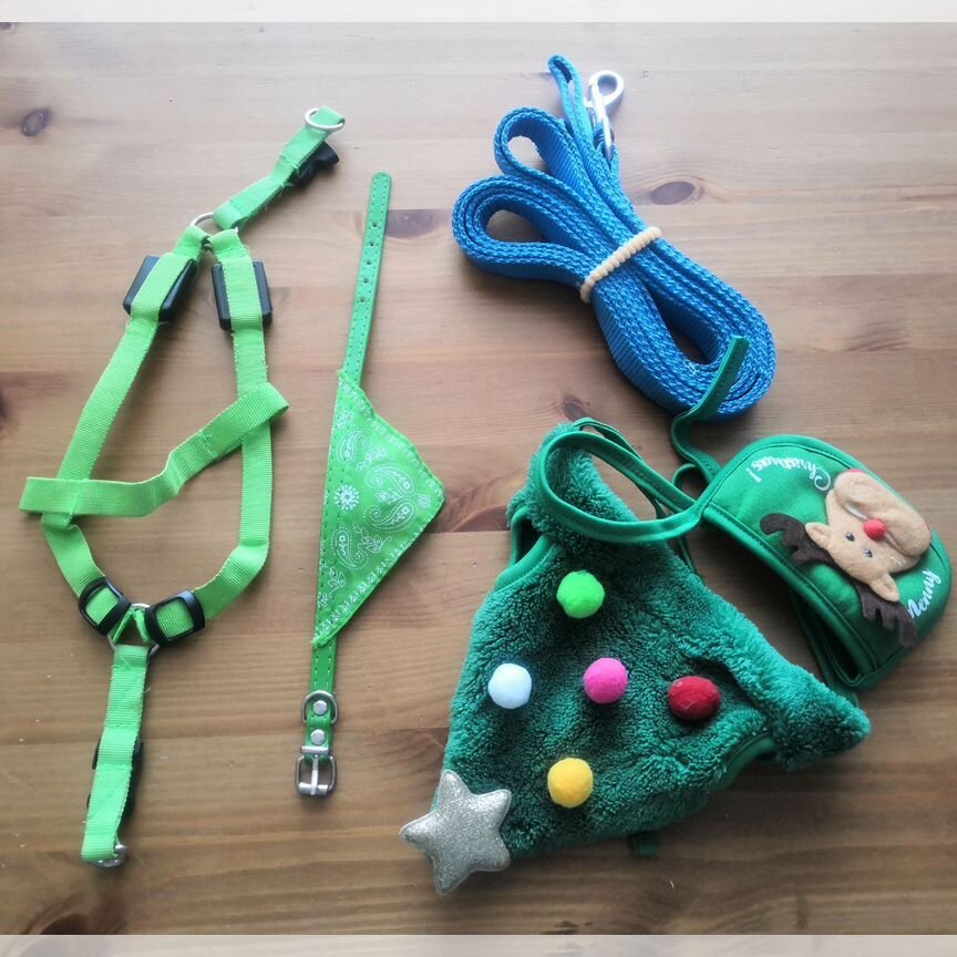 Вещи для маленьких собак