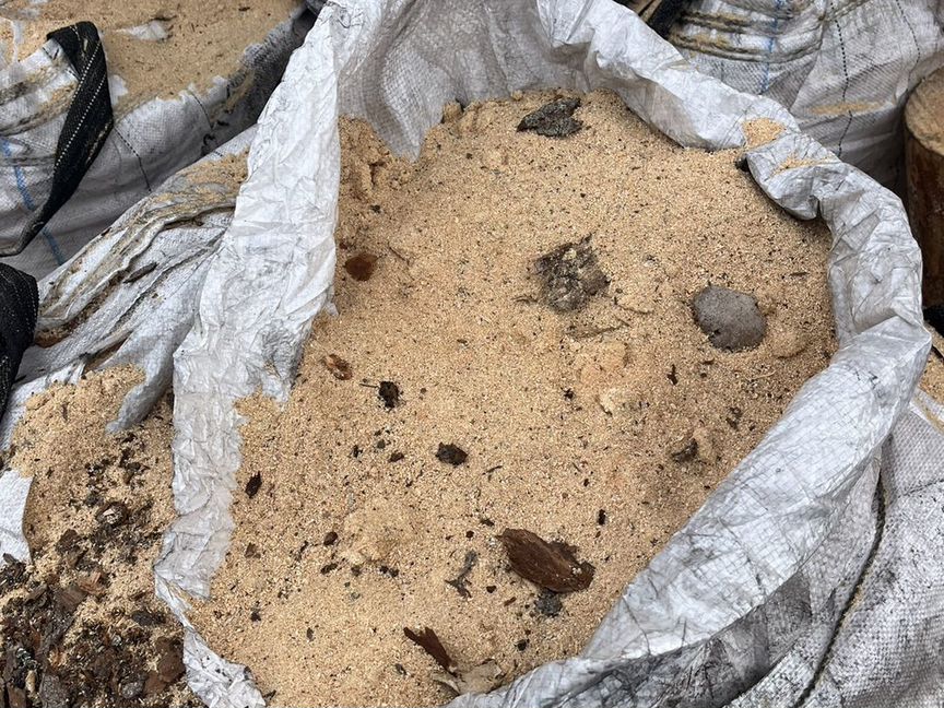 Опилки сосновые бесплатно