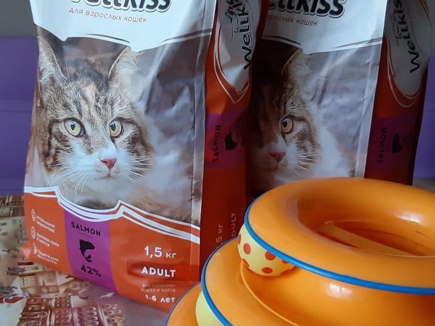 Сухой корм для кошек wellkiss