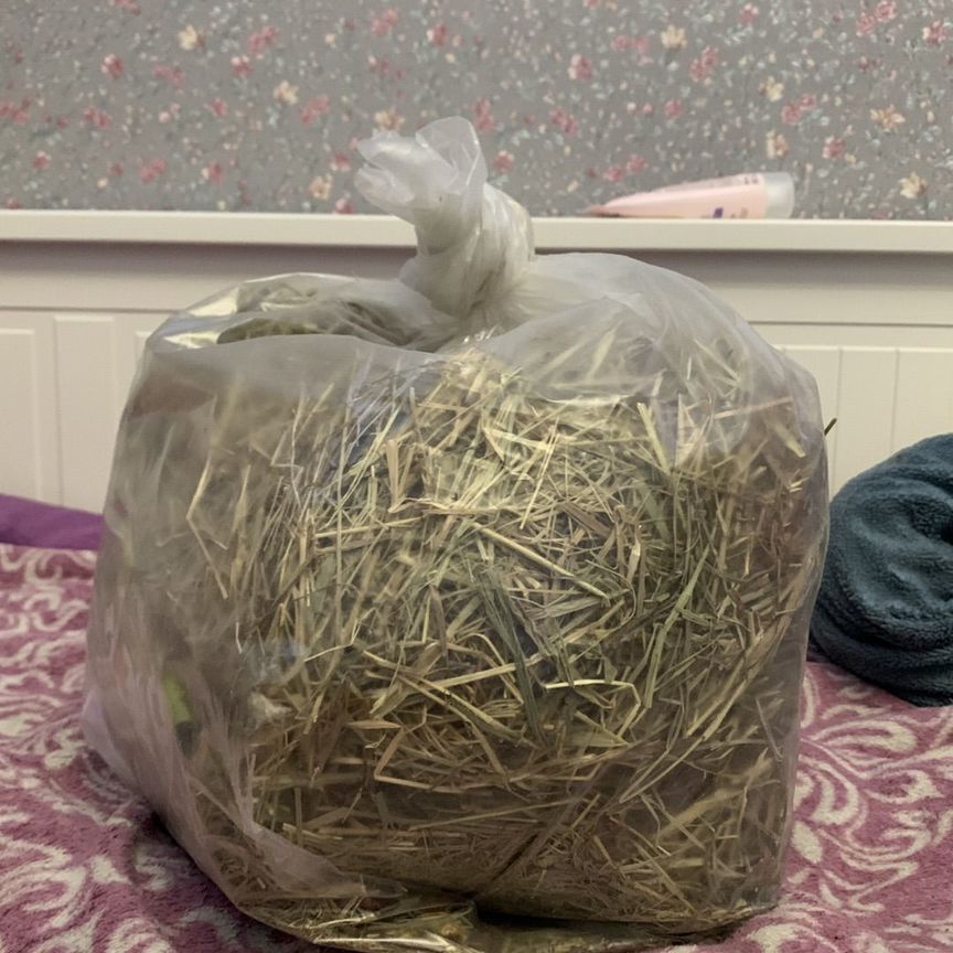 Сено для грызунов