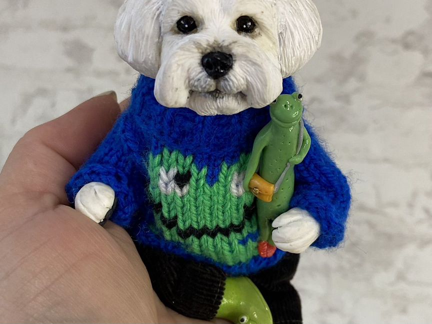 Мальтийская болонка