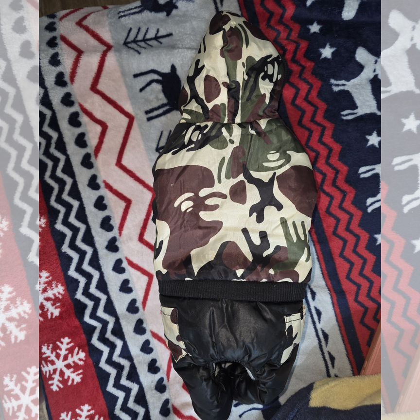 Одежда для собак мелких пород зима