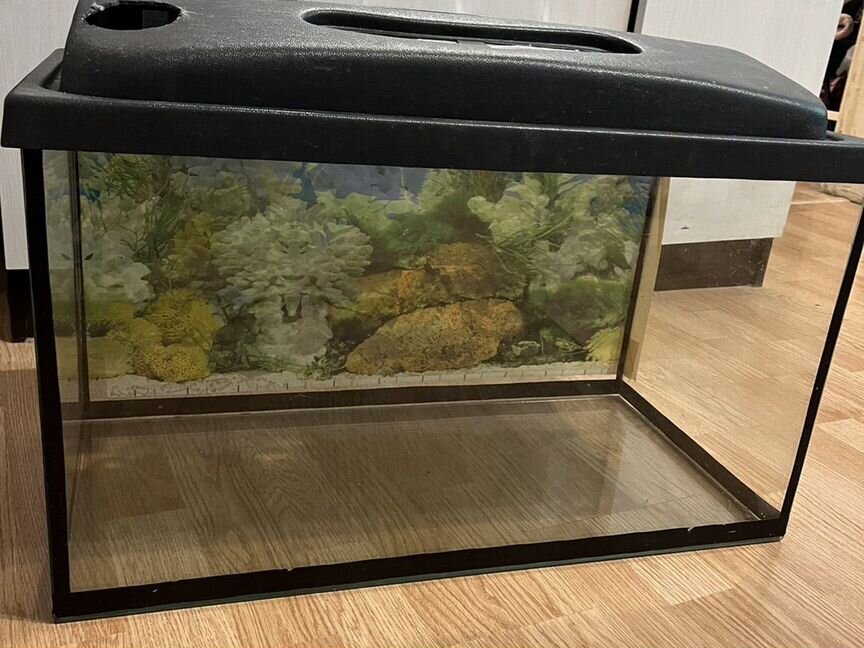 Террариум стеклянный