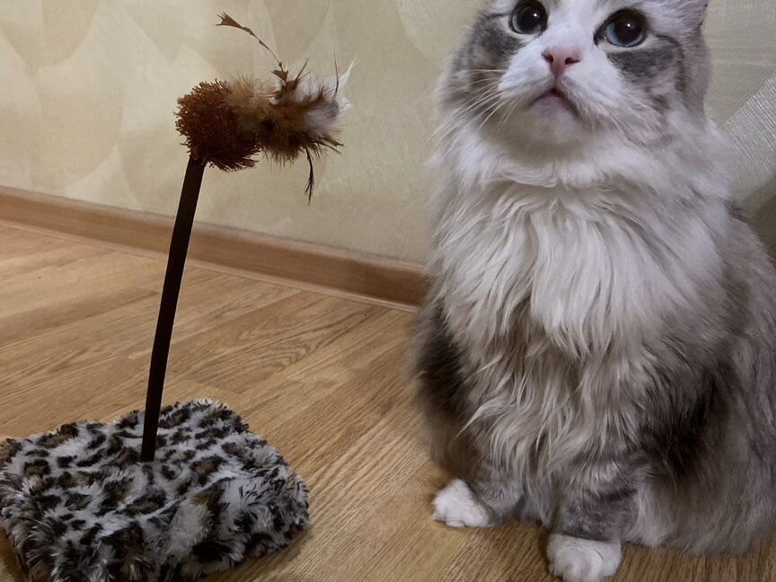 Игрушка для кота