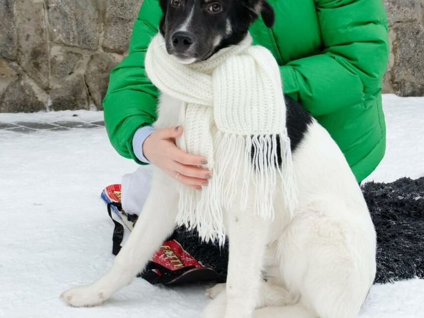 Малыш,9 месяцев