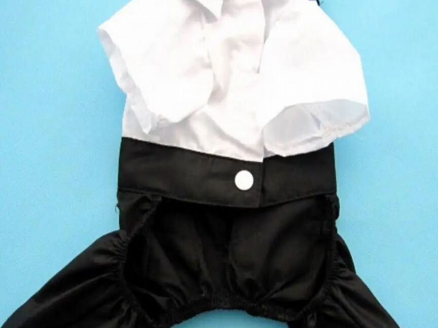 Костюм строгий деловой для собак и кошек