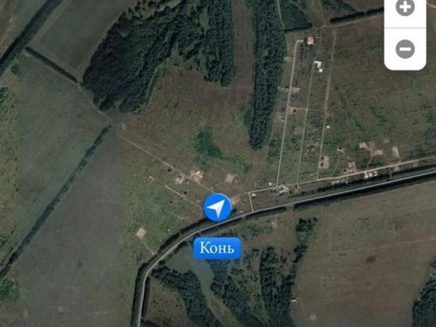 Gps трекер для любого животного