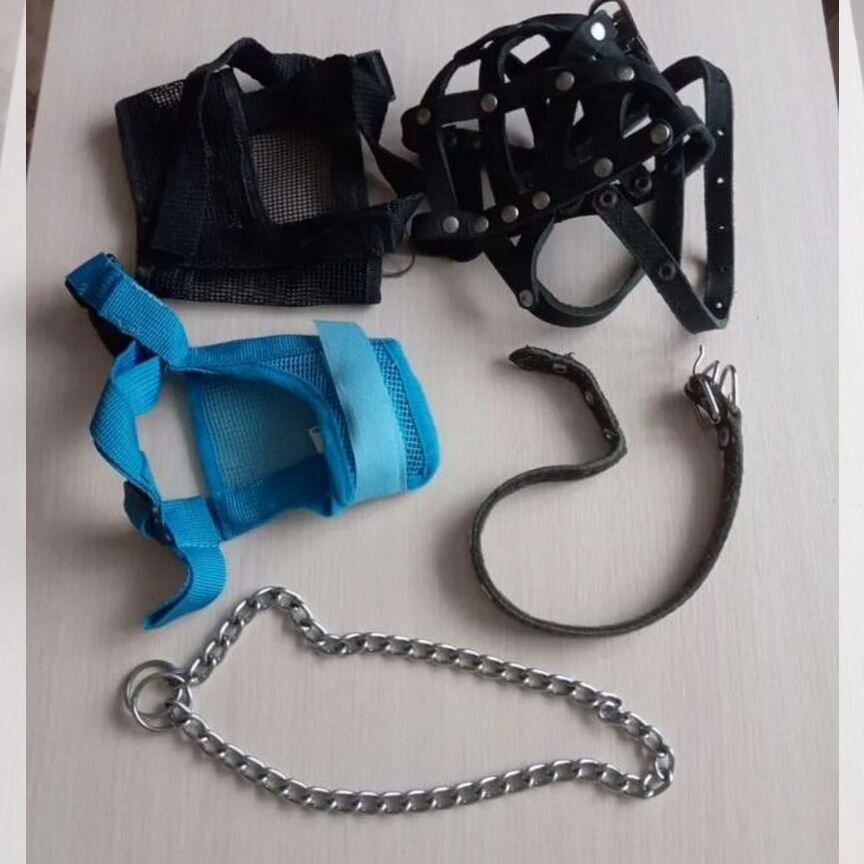 Амуниция для собак средних пород