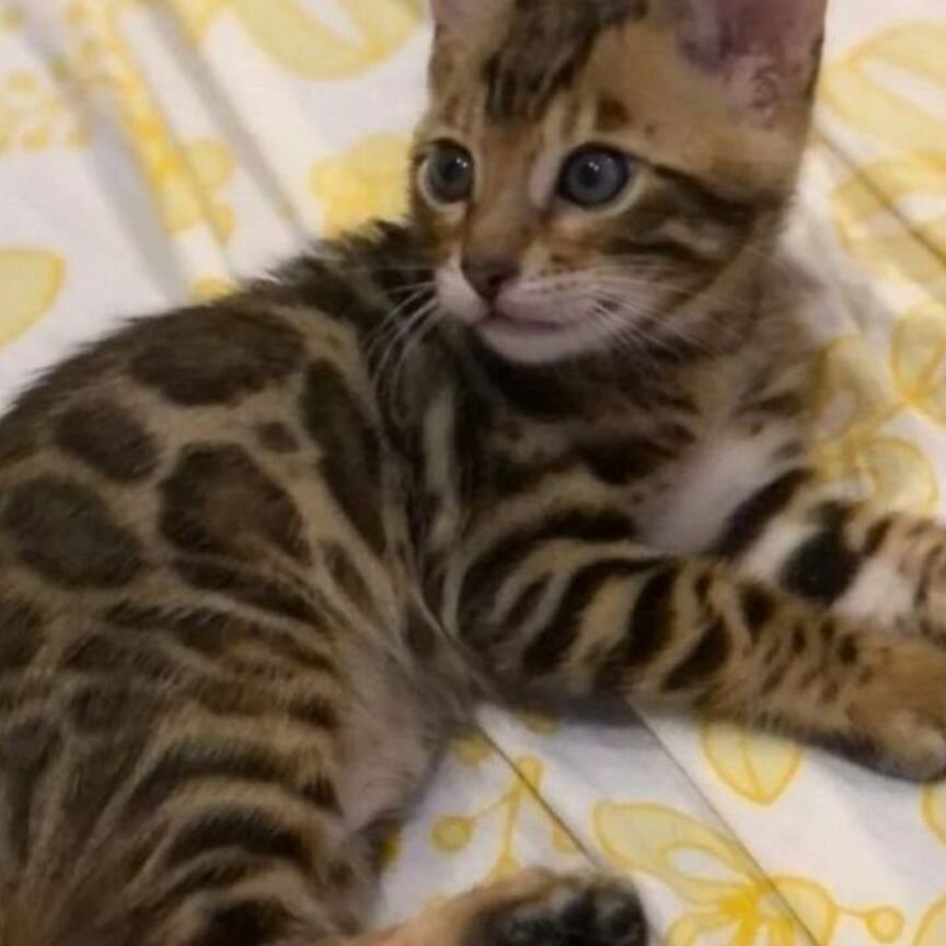 Куколка на 8 марта