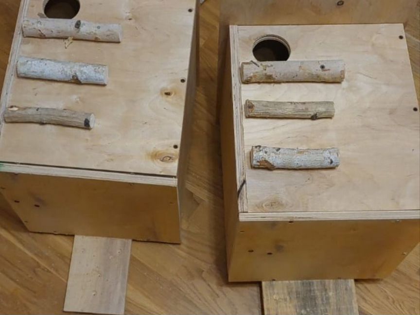 Бельчатник. Домик для белки